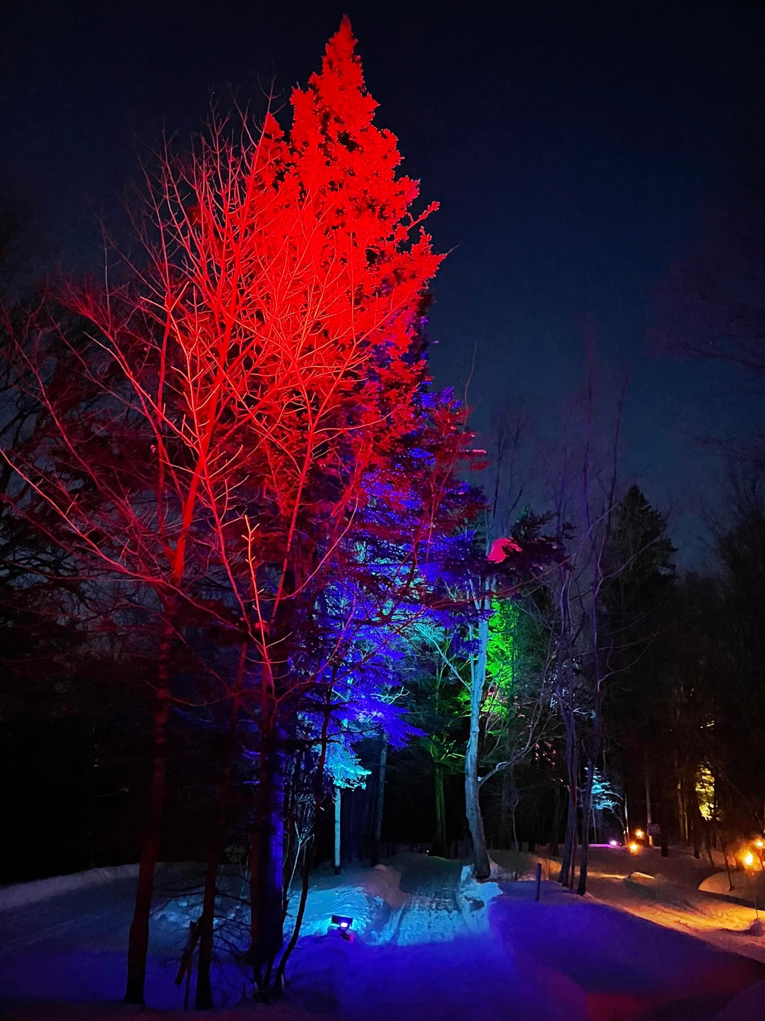 Dansereau en lumière - Ville de Pont-Rouge : Ville de Pont-Rouge